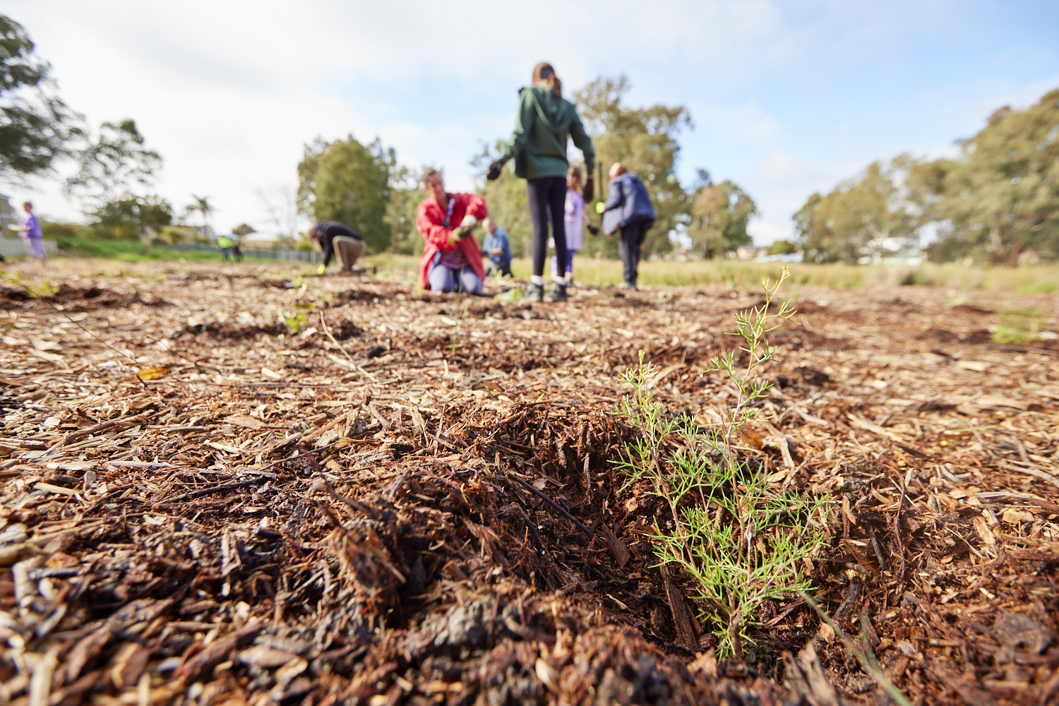 Environment and Sustainability Strategy | Belmont Connect