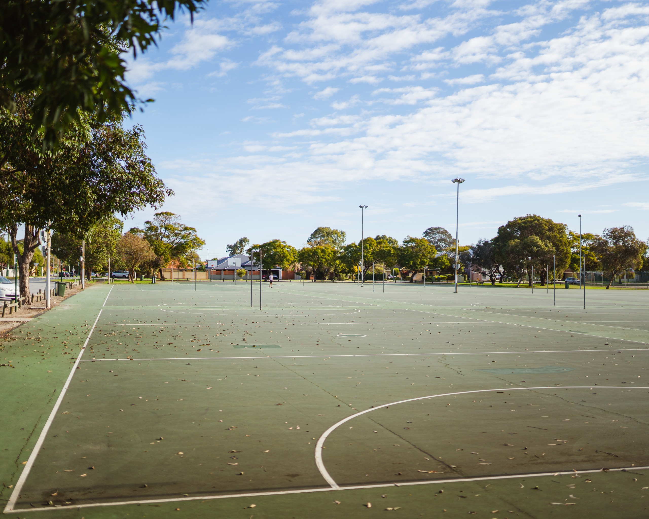 Wilson Park Precinct Place Vision | Belmont Connect