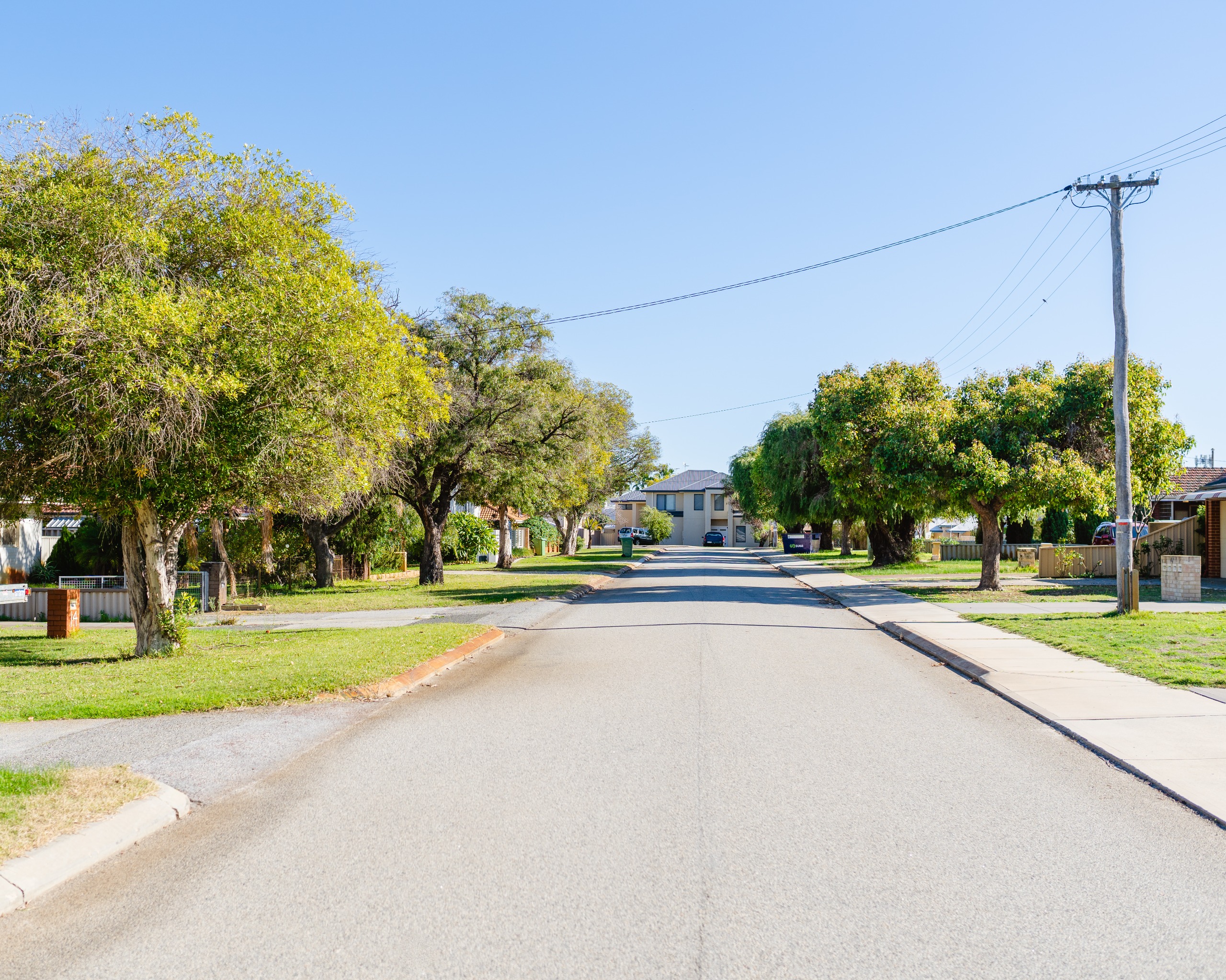 Three Bin System | Belmont Connect