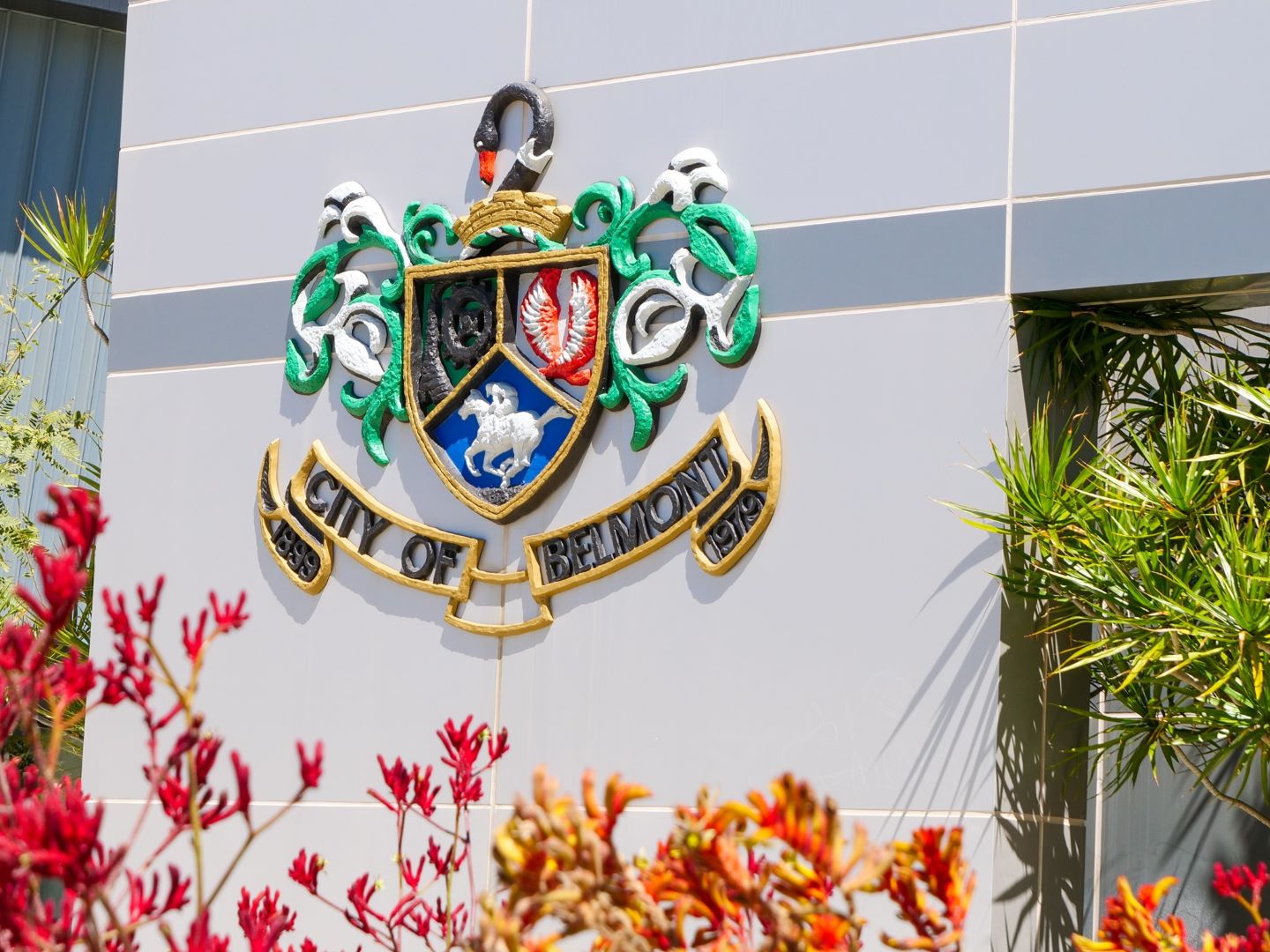 Ward and Representation Review | Belmont Connect