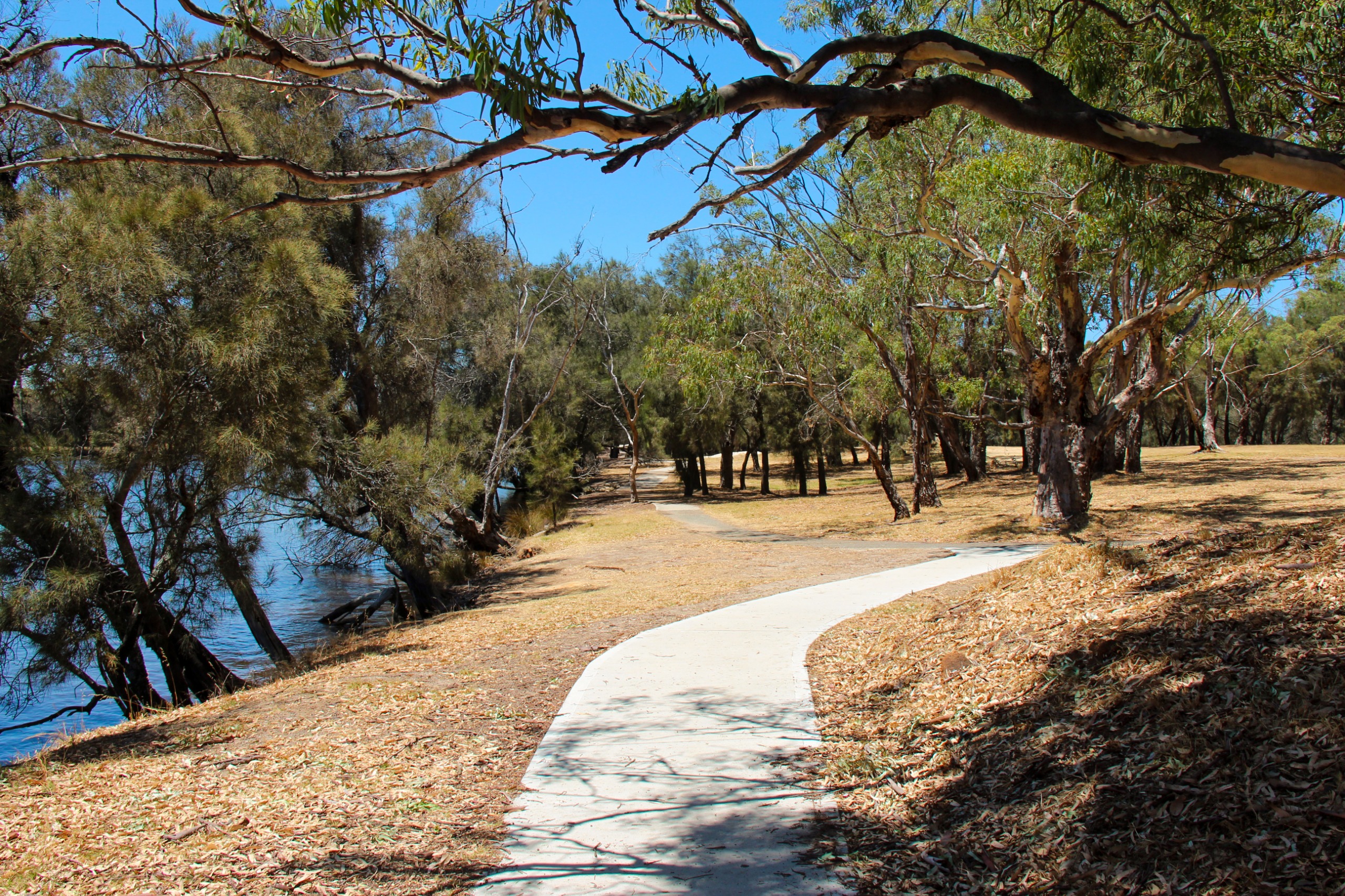 Garvey Park Trail Development Plan | Belmont Connect